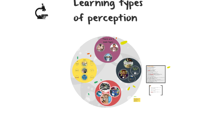 The learning types of Perception by Valida cookie on Prezi