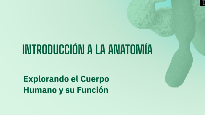 INTRODUCCIÓN A LA ANATOMÍA by stephanie berumen on Prezi