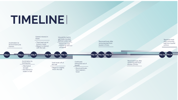 Stuart Timeline by Natalie Allison on Prezi