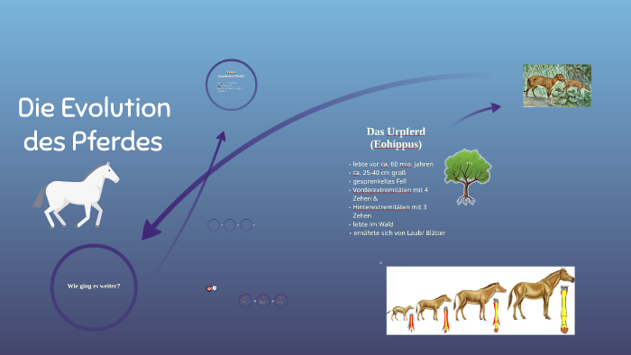 Die Evolution des Pferdes by Selina Schultz on Prezi