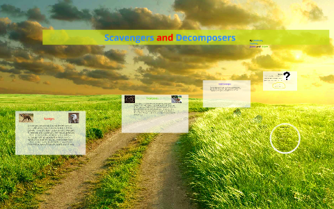 Scavengers and Decomposers by Andrew Xie on Prezi
