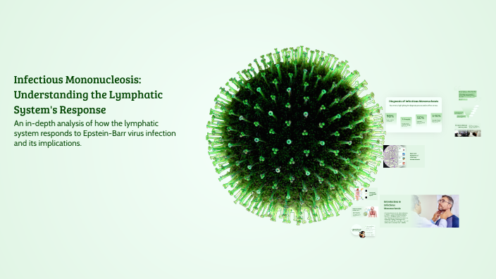 Infectious Mononucleosis: Understanding the Lymphatic System's Response ...