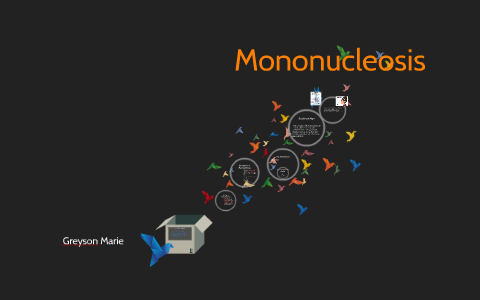 Mononucleosis Facts by Grey Cassidy on Prezi