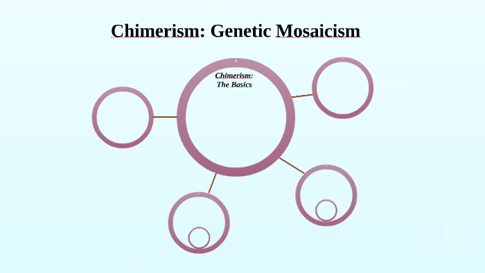 Chimerism: Genetic Mosaicism by Ella Westerfield on Prezi