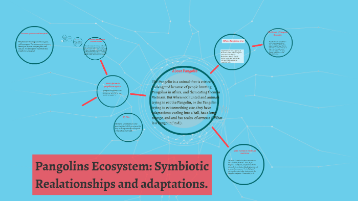 Pangolins Ecosystem: Symbiotic Realationships by Jeffrey Battle on Prezi
