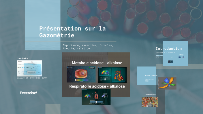 Présentation sur la Gazométrie by Paula Gijsbertsen on Prezi