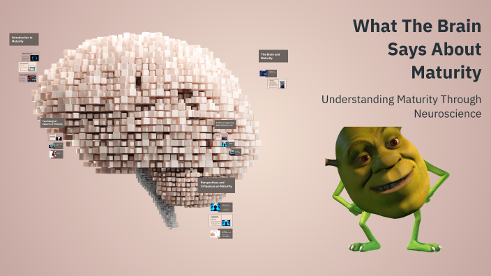 What The Brain Says About Maturity by shane neener on Prezi