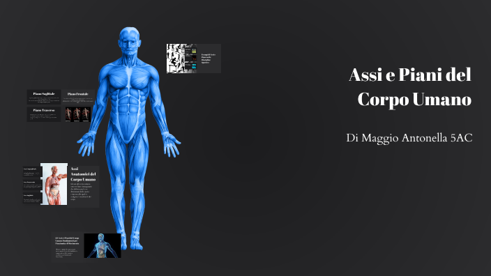 Assi e Piani del Corpo Umano: Anatomia e Sport by Antonella Di Maggio ...