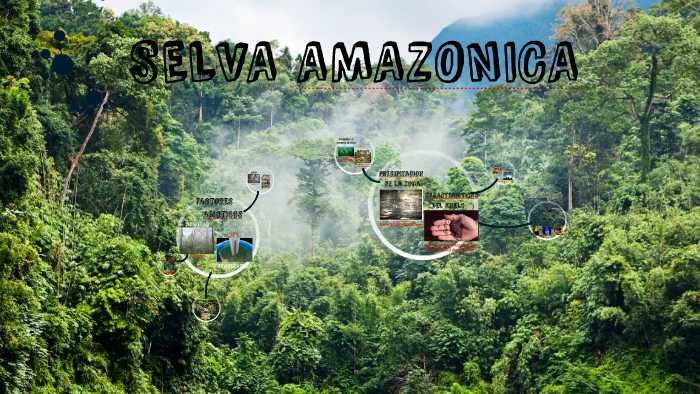 SELVA AMAZONICA by angelica rodriguez on Prezi