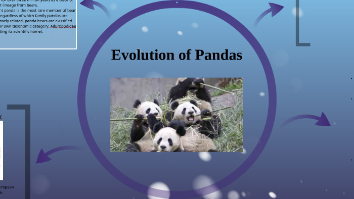 Evolution of Spiders by Francis Balderama on Prezi