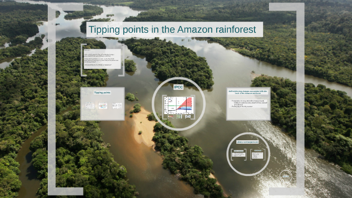 Tipping points in the Amazon rainforest by N Gru on Prezi