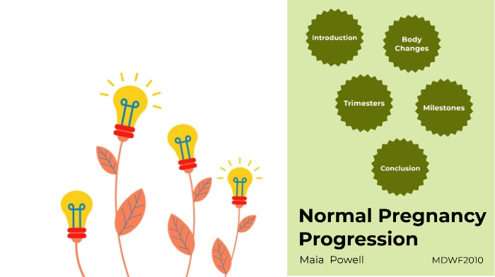 Normal Pregnancy Progression by maia powell on Prezi