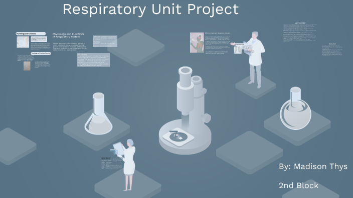 Exploring the Respiratory System: Anatomy, Physiology, and Disorders by ...