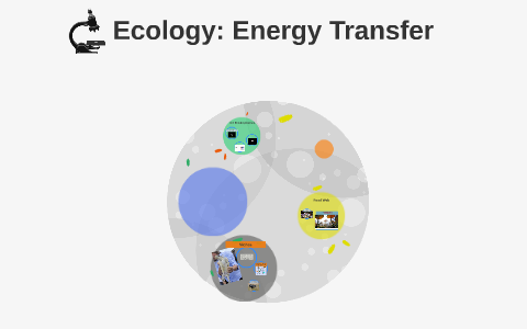 Ecology: Energy Transfer by Kristen Larson on Prezi
