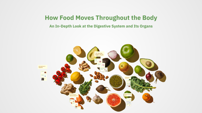 How Food Moves Throughout the Body by Mackenna Thomas on Prezi