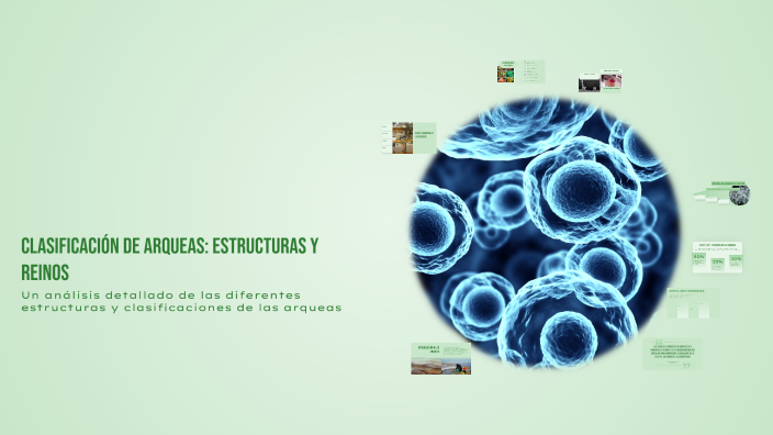 Clasificación de Arqueas: Estructuras y Reinos by Fátima Benítez on Prezi