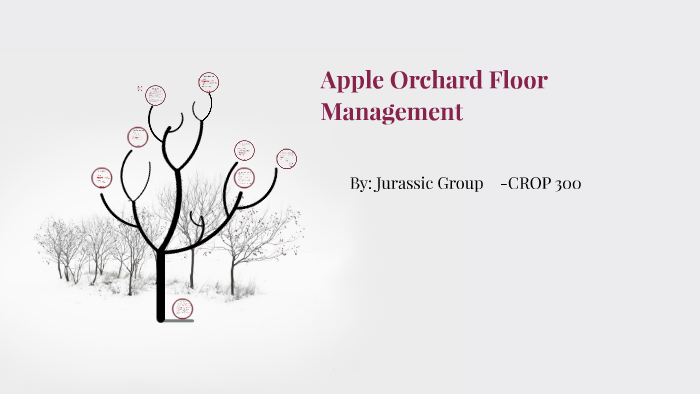 Apple Orchard Floor Management by Angelee Calder on Prezi