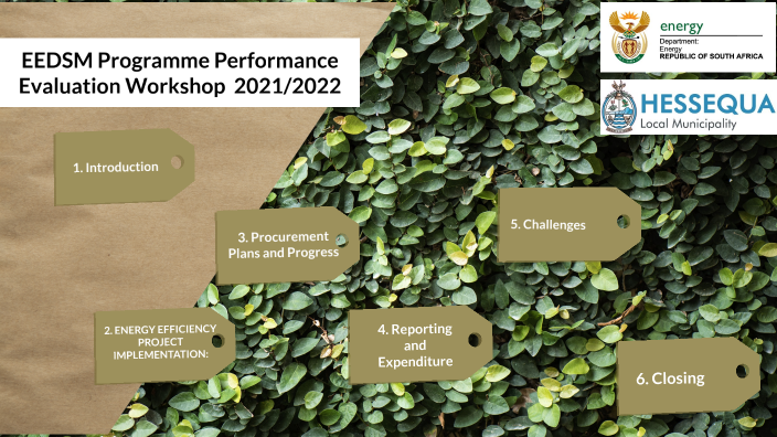 2nd EEDSM Programme Performance Evaluation Workshop by Earl Swart on Prezi