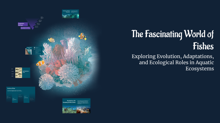 The Fascinating World of Fishes by Fareeza Khan on Prezi