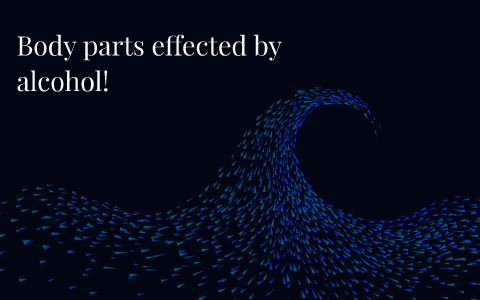 Body parts effected by alcohol! by Mara Kapes on Prezi