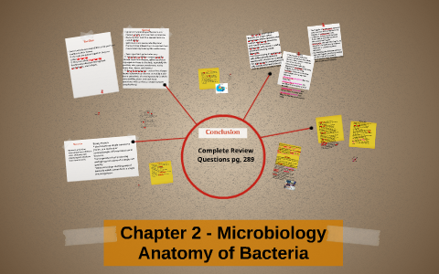 Chapter 2 - Microbiology by Kiska Harris on Prezi