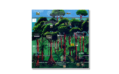 Strata of the Tropical Rainforests by Alexander Esquivel on Prezi