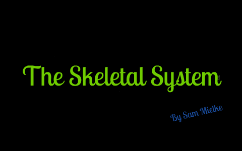 Skeletal System by Sam Mielke on Prezi