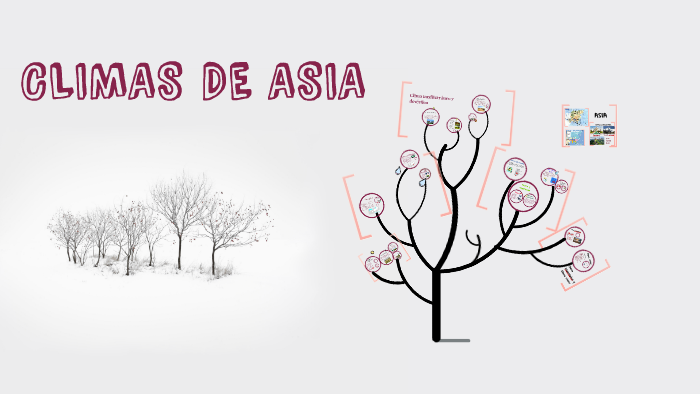 Los climas de asia by Cecilia Santamaria on Prezi