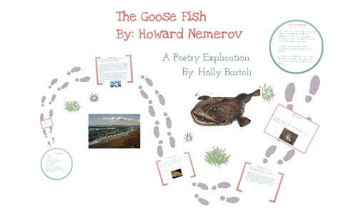 The Goose Fish by Holly Bartoli on Prezi