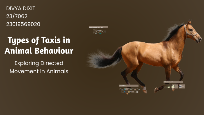 Types of Taxis in Animal Behaviour by Divya Dixit on Prezi