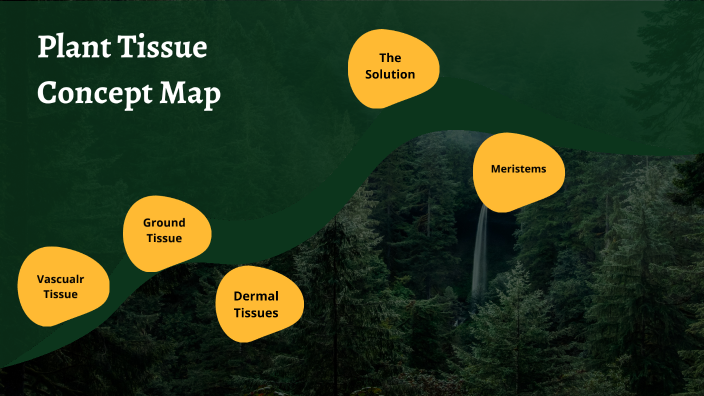 Botany Map by Avery Sibert on Prezi