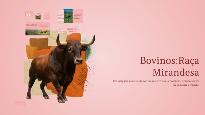 Bovinos: Raça Mirandesa by Dávia Silva on Prezi