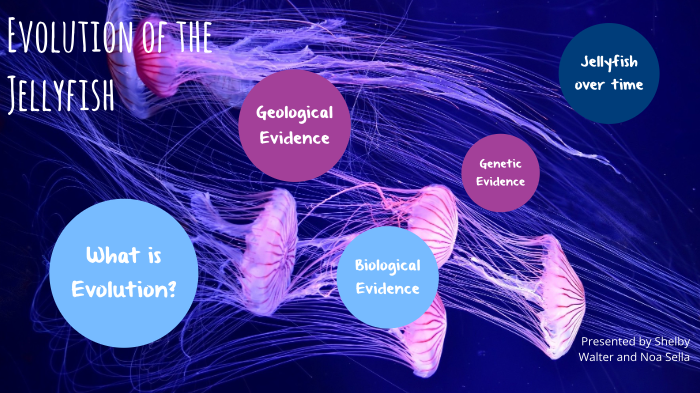 Jellyfish evolution by Madison Lucco on Prezi
