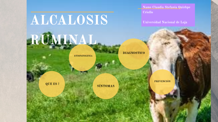 ALCALOSIS RUMINAL by Claudia Stefania Quizhpe Criollo on Prezi