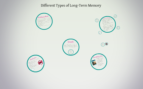 Different Types of Long-Term Memory by Beau Springer on Prezi