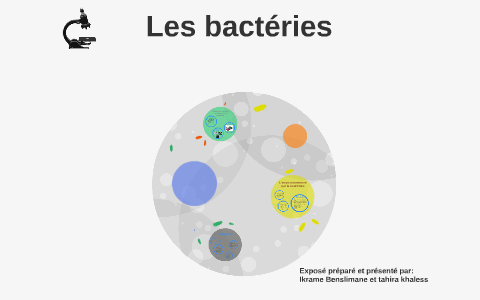 Définition,structure et formes des bacteries by mehdi KHALESS on Prezi