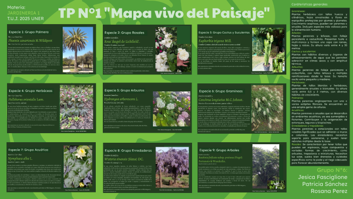 TP N°1 Mapa vivo del Paisaje CORREGIDO by Rosana Perez on Prezi