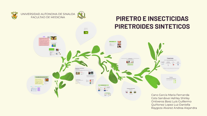 Piretro e insecticidas piretroides sintéticos by Andrea Raygoza on Prezi