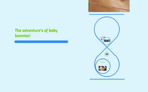 The adventure's of baby bunnies by Emma Mathes on Prezi