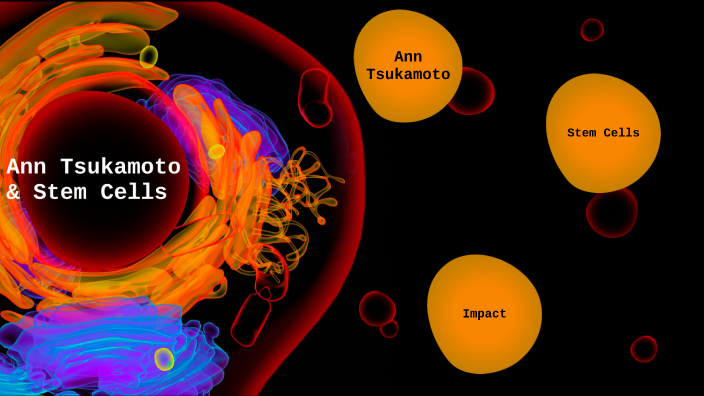 ann tsukamoto by Vilius Česevičius on Prezi