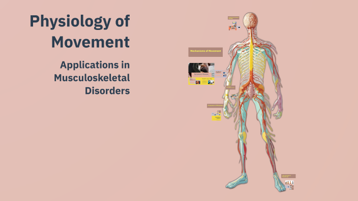 Physiology of Movement by Nishali A on Prezi