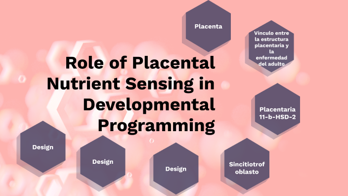 Role of Placental Nutrient Sensing in Developmental Programming by ...