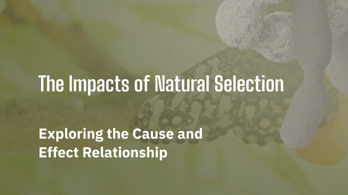 The Impacts of Natural Selection by Melinda Doblas on Prezi