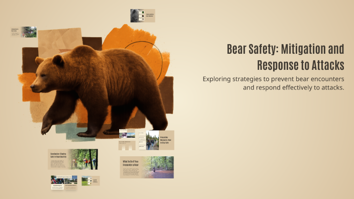 Bear Safety: Mitigation and Response to Attacks by Taryn Mercer on Prezi