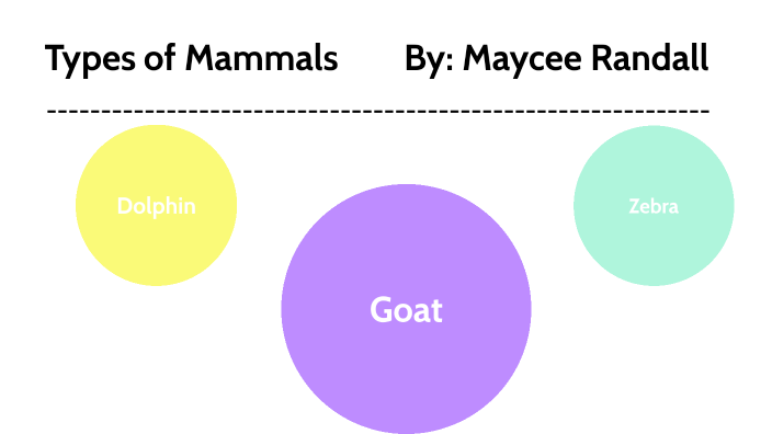 Types of Mammals by Maycee Randall on Prezi