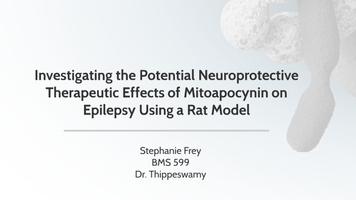 Exploring the Impact of Mitoapocynin on Epilepsy in Rat Model by ...
