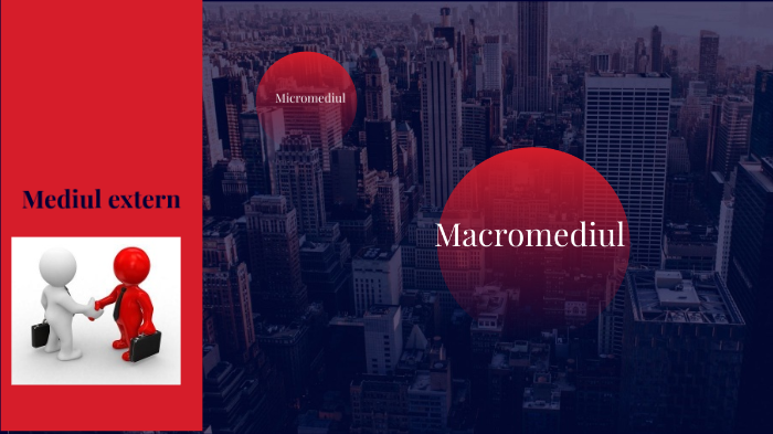 Mediul extern by Elena Georgiana Iacob on Prezi