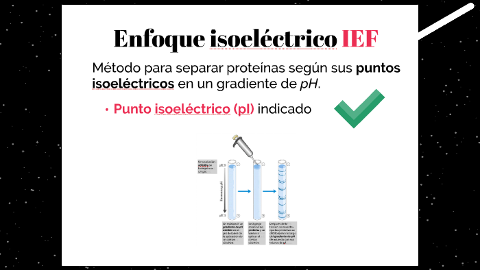 Enfoque isoeléctrico by Sofía Rivas on Prezi