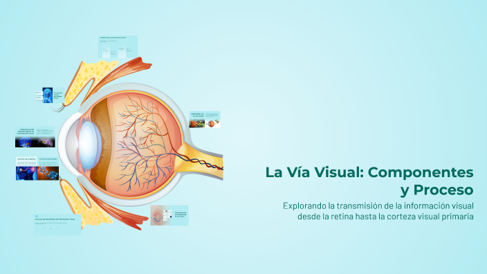 La Vía Visual: Componentes y Proceso by HENRY STEVEN ARMAS COLLAGUAZO ...