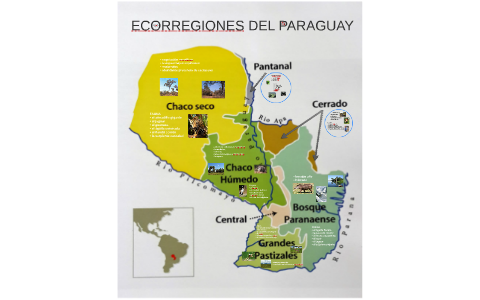 ECORREGIONES DEL PARAGUAY by Janice Campos on Prezi